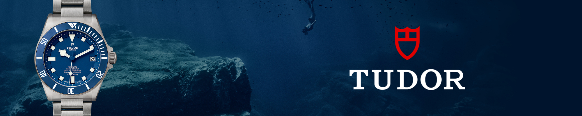 Tudor á Íslandi - Michelsen