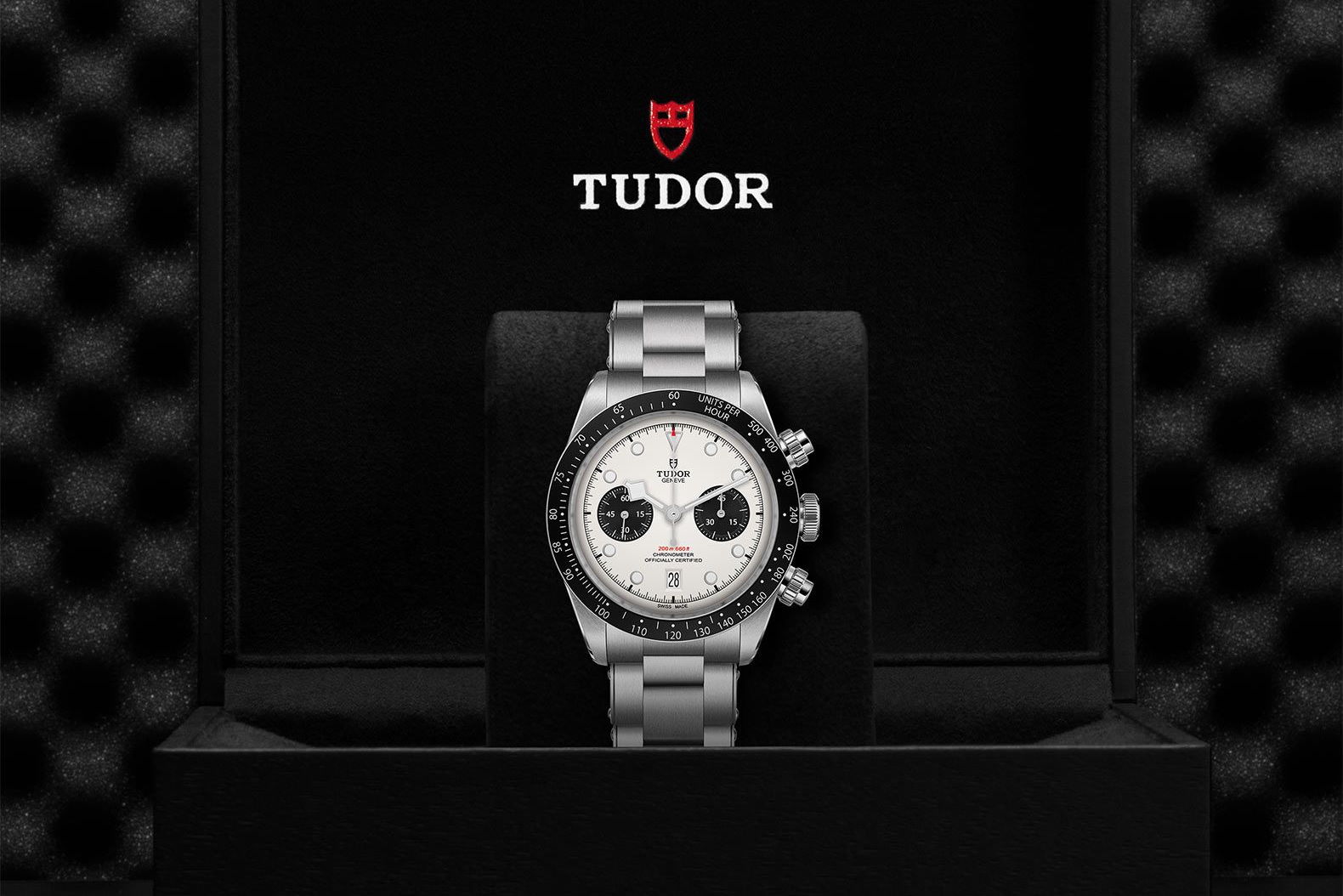 Tudor á Íslandi - Michelsen